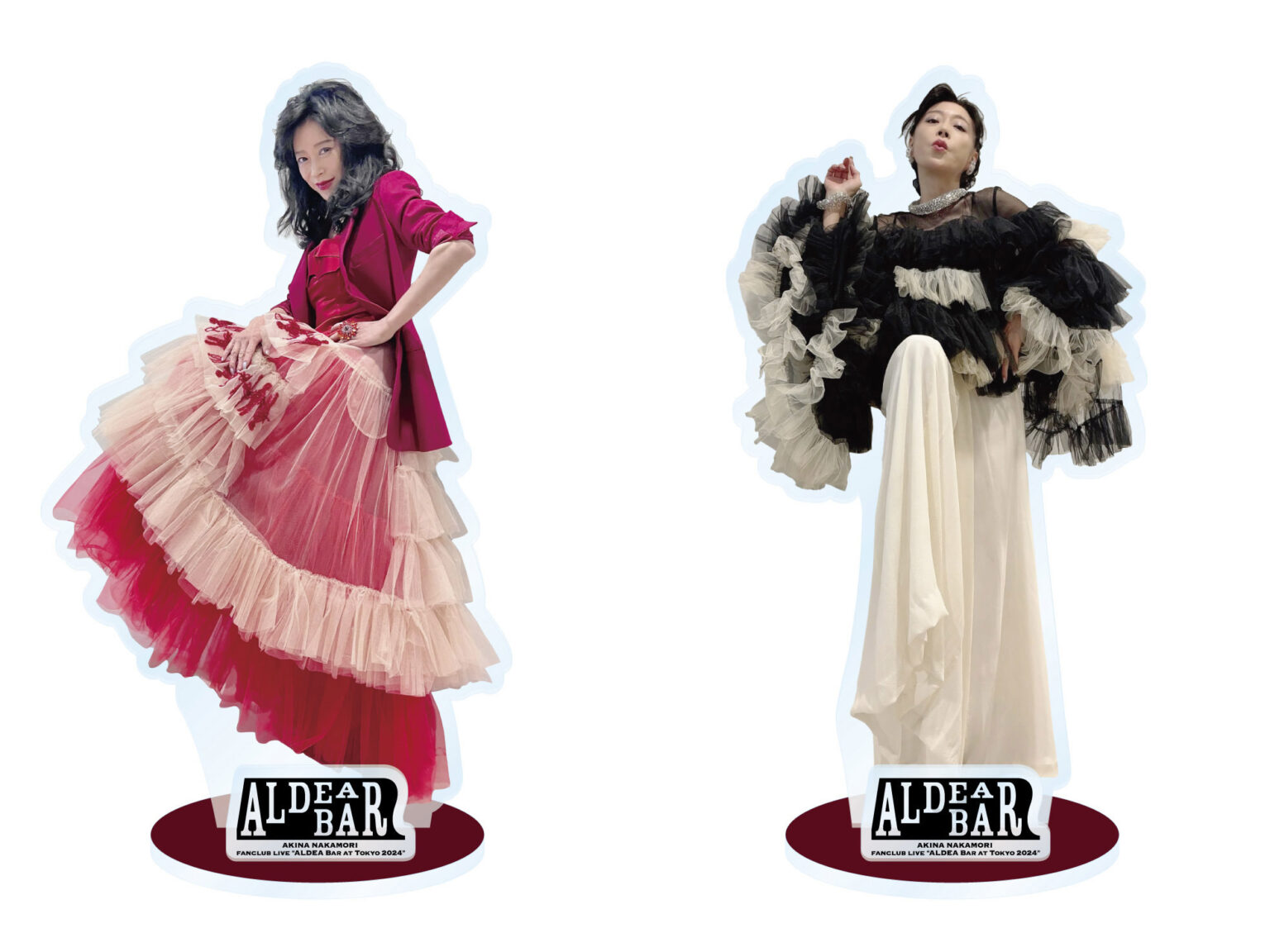 中森明菜 FANCLUB LIVE「ALDEA Bar at Tokyo 2024」Blu-ray/DVDで一般発売決定！ | AKINA ...